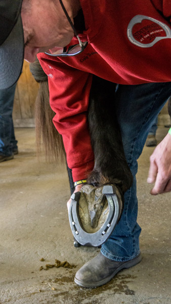 2017 World Horseshoeing Classic Photo Gallery