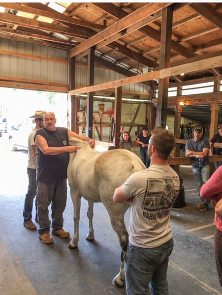 2018 Farriers Week