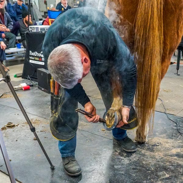 Anvil Brand Winter Clinic 2019