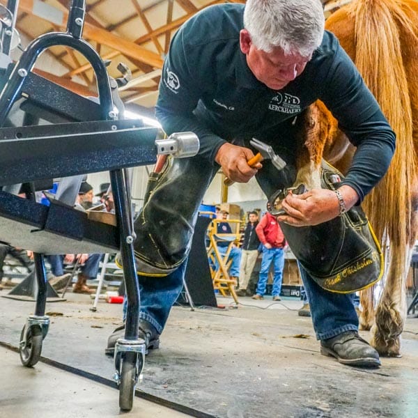 Anvil Brand Winter Clinic 2019