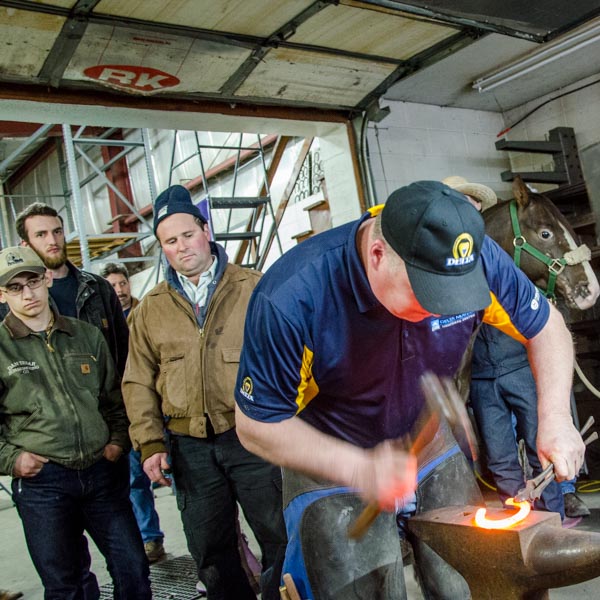 Centaur Forge Clinic April 2018