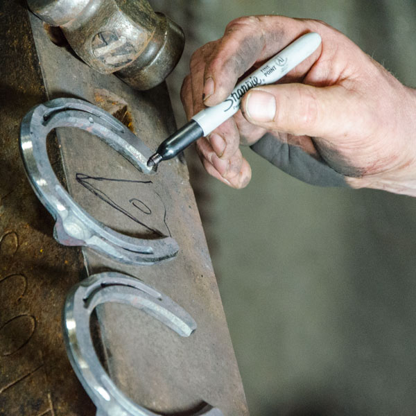 Centaur Forge Clinic April 2018