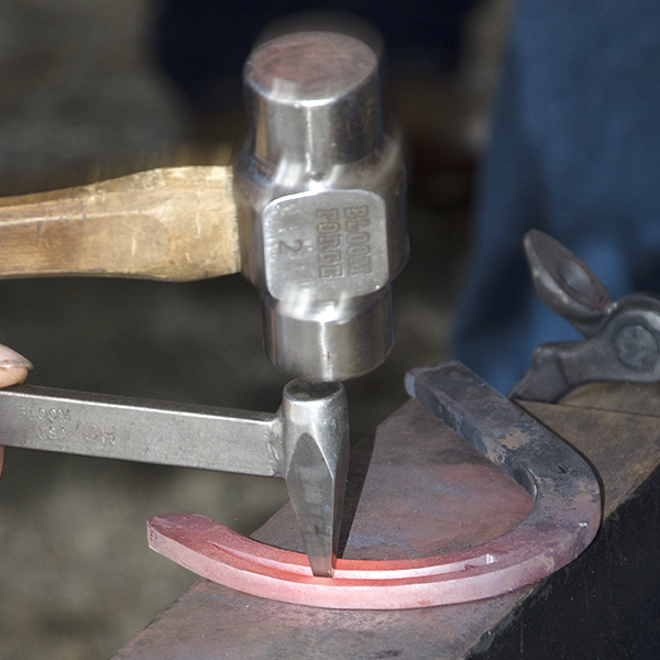 2016 Centaur Forge Fall Clinic