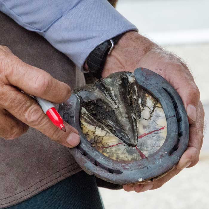 Centaur Forge Oct 2017 Clinic – Myron McLane