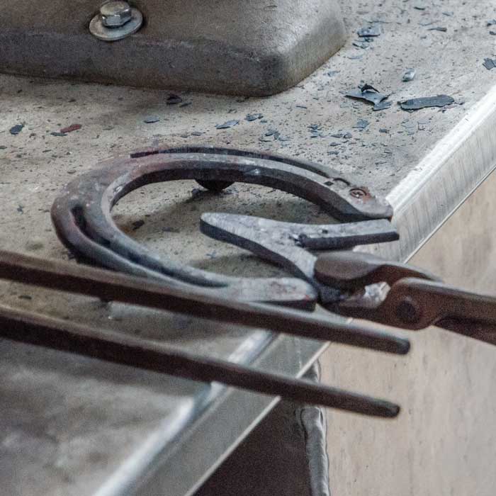 Centaur Forge Oct 2017 Clinic – Myron McLane