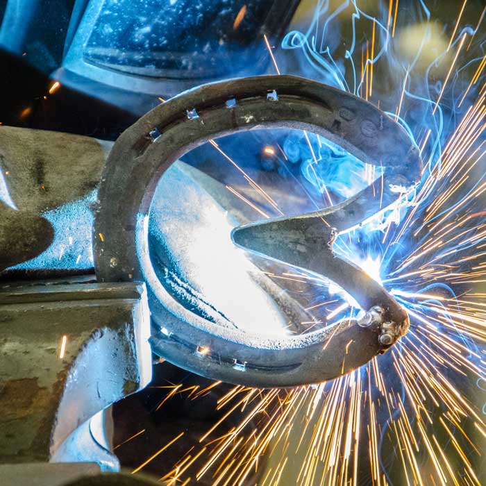 Centaur Forge Oct 2017 Clinic – Myron McLane