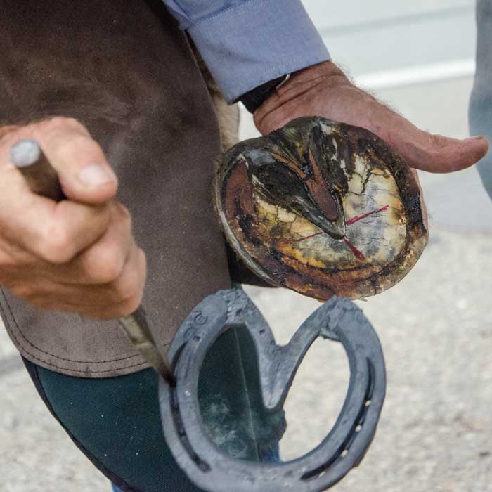 Centaur Forge Oct 2017 Clinic – Myron McLane