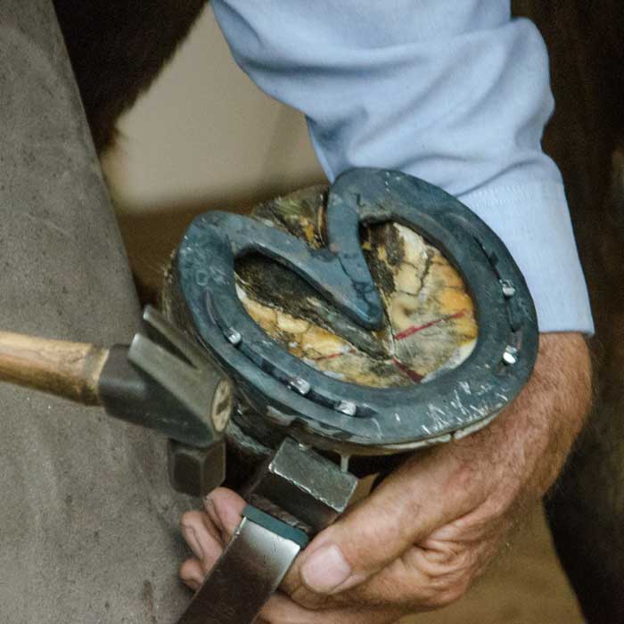 Centaur Forge Oct 2017 Clinic – Myron McLane