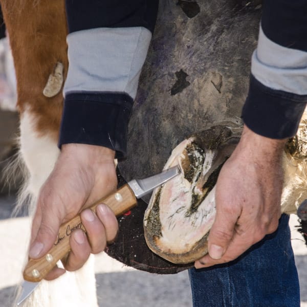 Chris Gregory, Centaur Forge Clinic April 2014