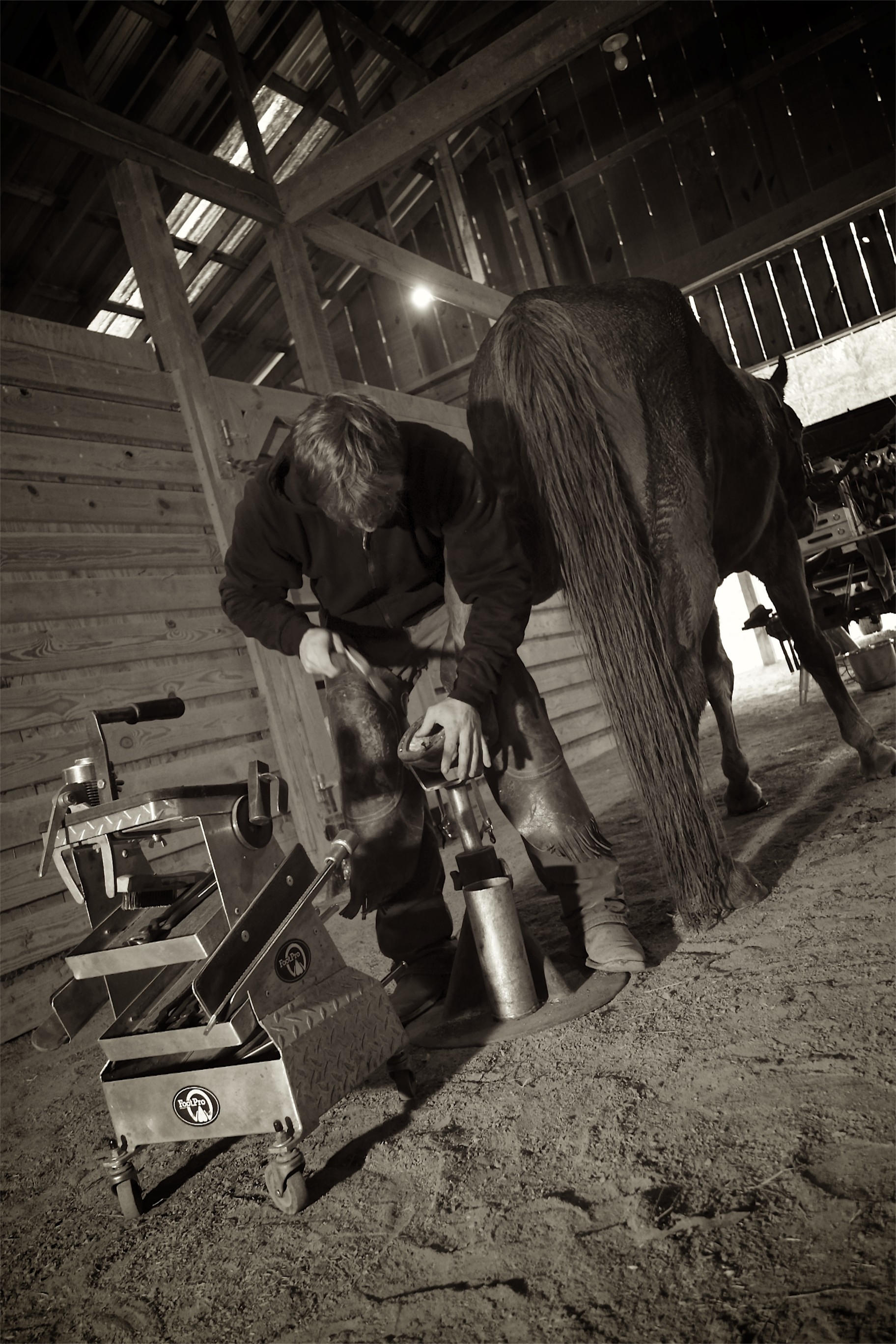 Farrier Photo of the Week