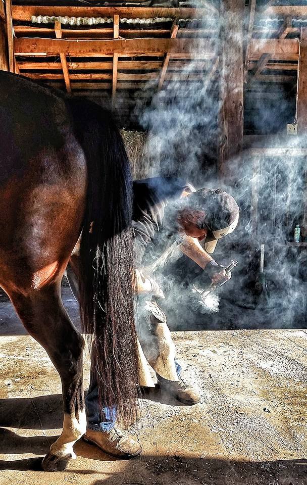 Farrier Photo of the Week
