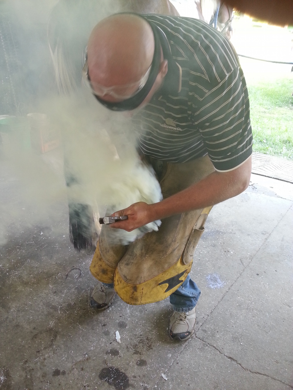 Farrier Photo of the Week