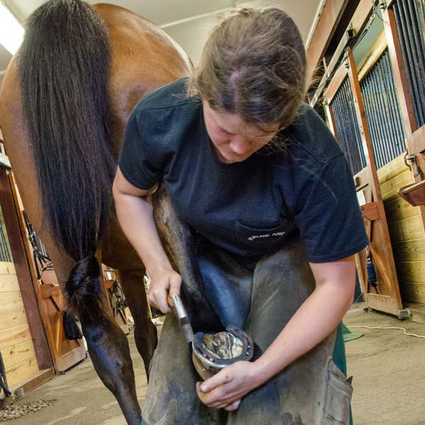 Farriers at Work: Bob Pethick