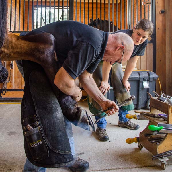 Farriers at Work: Bob Pethick