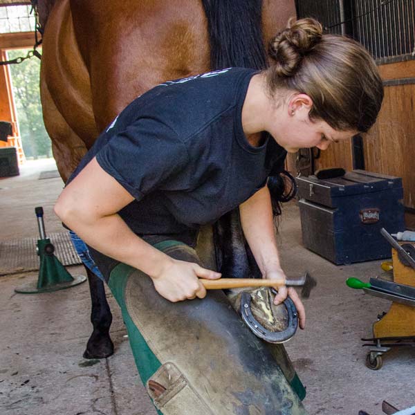 Farriers at Work: Bob Pethick