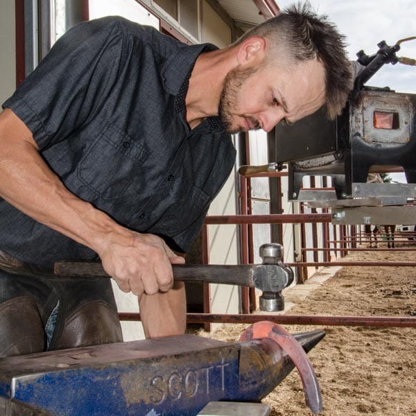 Farriers At Work: Jason Critton
