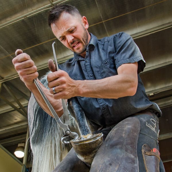 Farriers At Work: Jason Critton