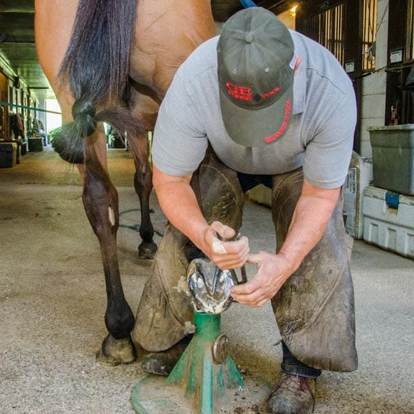 Farriers At Work: Jim Houk