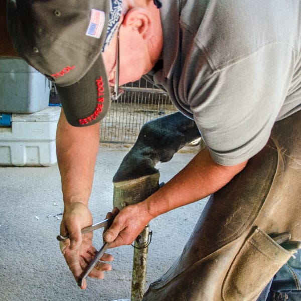 Farriers At Work: Jim Houk