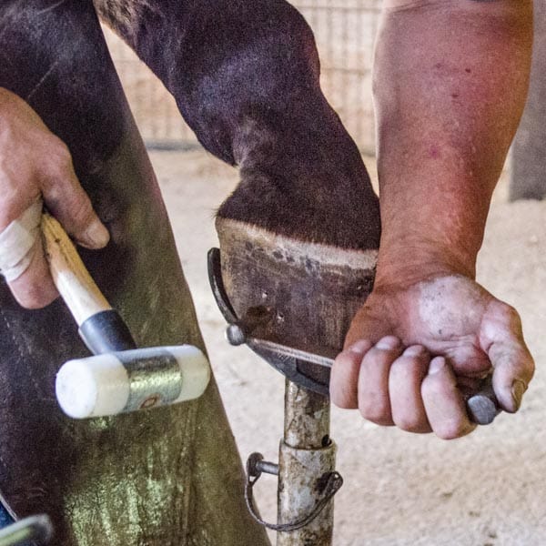 Farriers At Work: Jim Houk