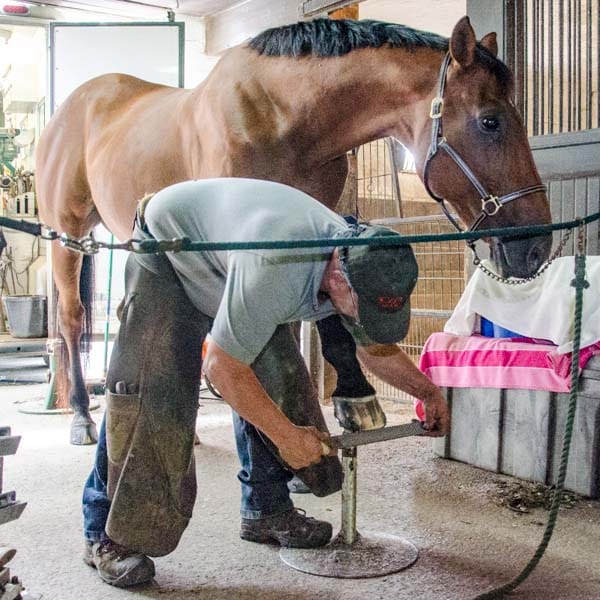 Farriers At Work: Jim Houk
