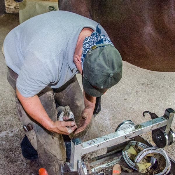 Farriers At Work: Jim Houk