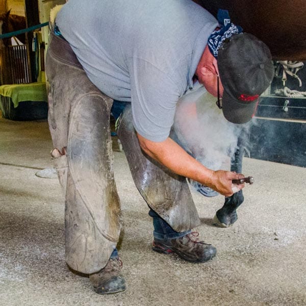Farriers At Work: Jim Houk