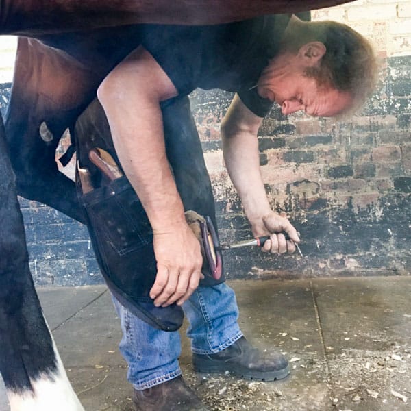 Farriers at Work: Jonathan Nunn