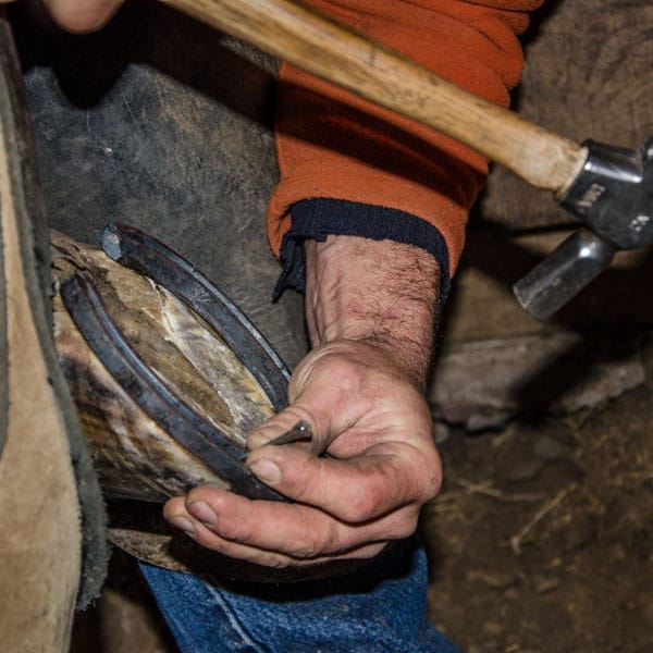 Farriers at Work: Kirk Smith