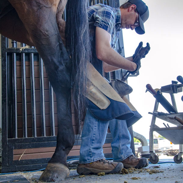 Farriers At Work – Sean Gaul