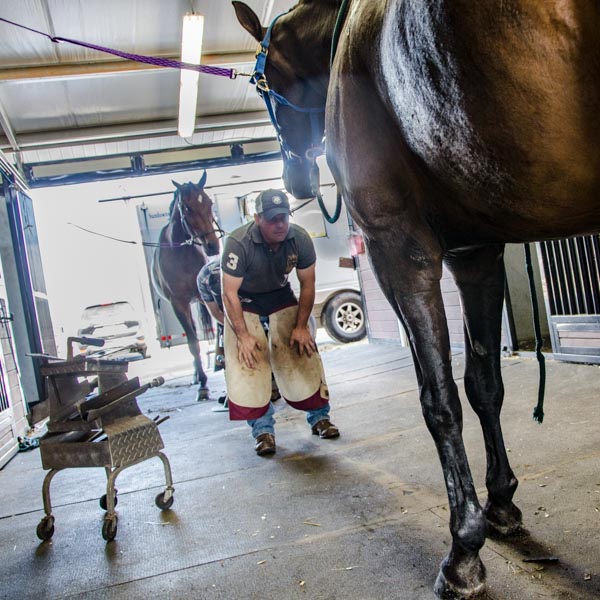 Farriers At Work – Sean Gaul