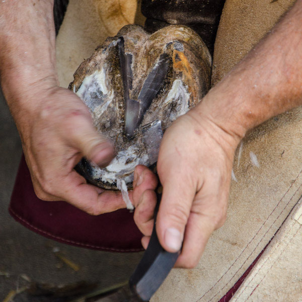 Farriers At Work – Sean Gaul
