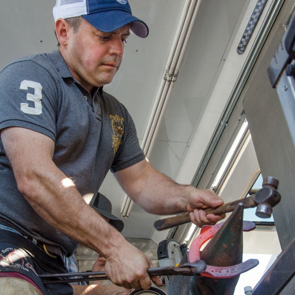 Farriers At Work – Sean Gaul