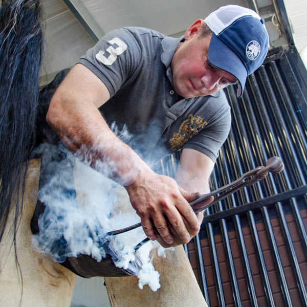 Farriers At Work – Sean Gaul