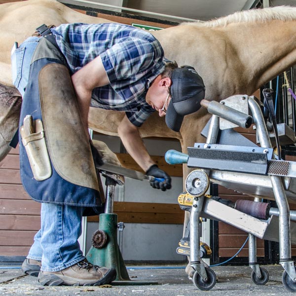 Farriers At Work – Sean Gaul