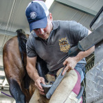 Farriers At Work – Sean Gaul