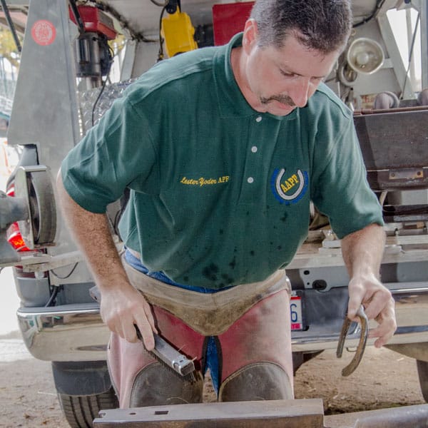 Farriers at Work: Lester Yoder October 2014