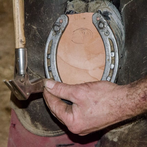 Farriers at Work: Lester Yoder October 2014