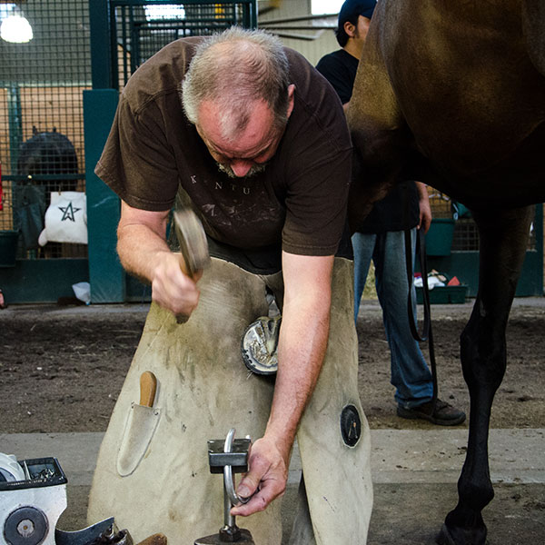 Farriers at Work: Steve Norman