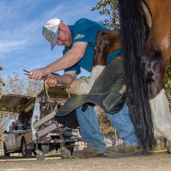 Farriers At Work: Travis Koons
