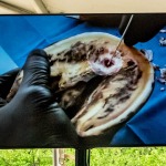 Rood & Riddle Conference 2019