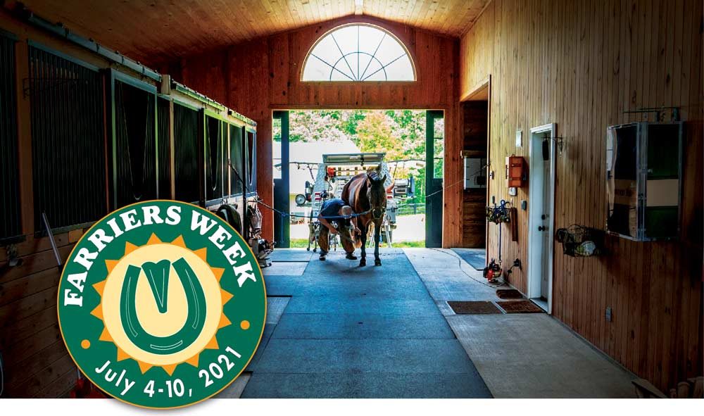Spotlight Shines Brightly on Farriers