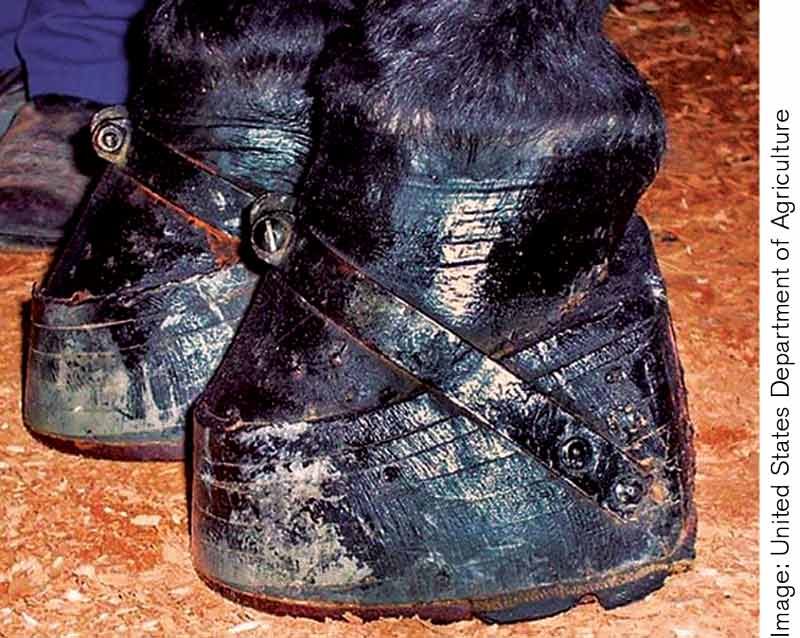 Shop Talk: November 2022