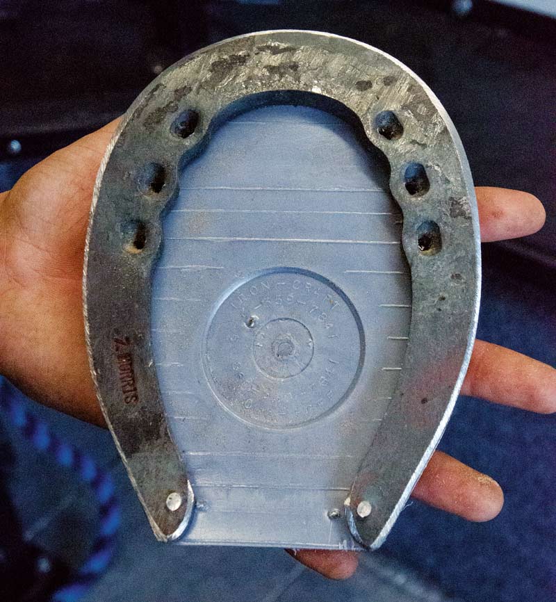 Arabian Show Horse Farrier Plays the Angles