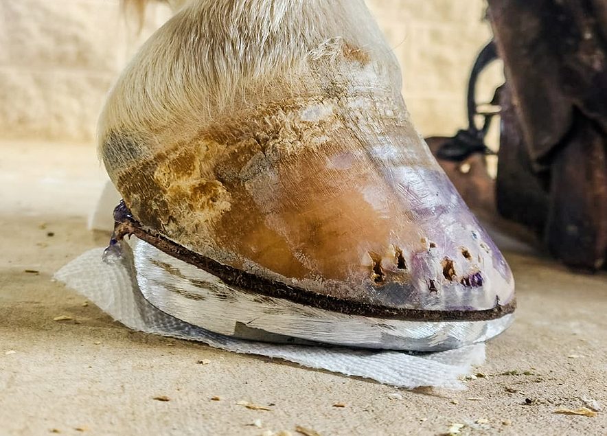 A Guide on Using Rocker Shoes