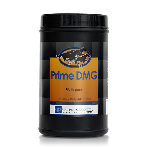 Prime Performance Nutrition Prime DMG
