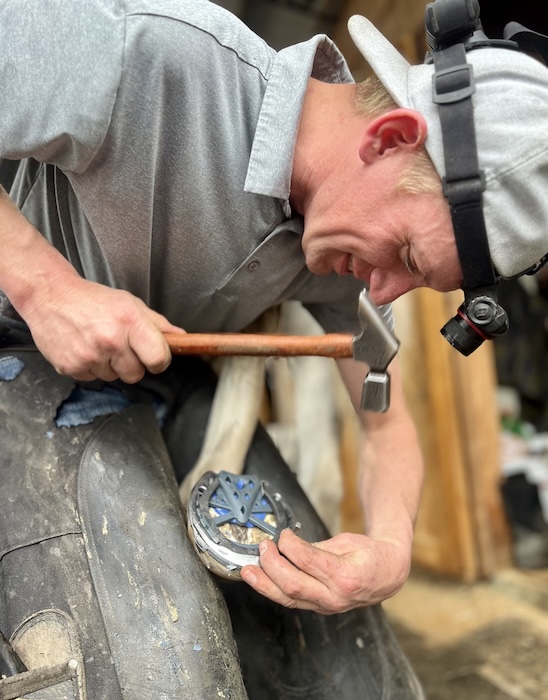 2024 Farriers Week: Farrier Spotlight