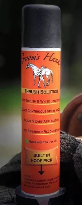 Groomshand llc Groom’s Hand Thrush Solution