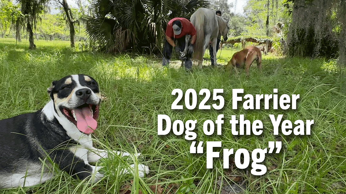 2025 Farrier Dog of the Year: Frog
