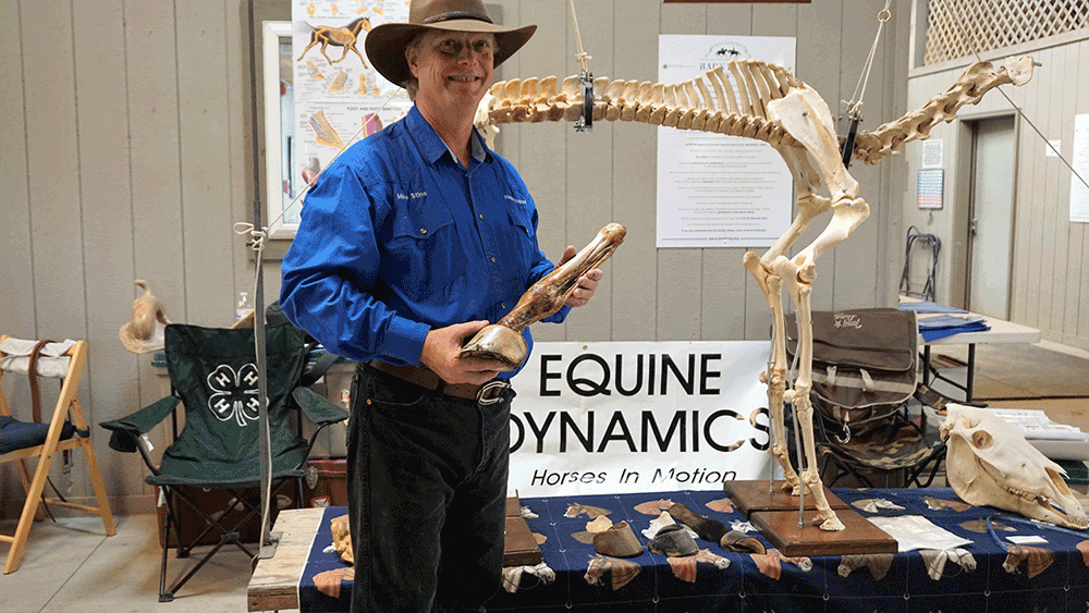 [Video] A Conversation with Mike Stine